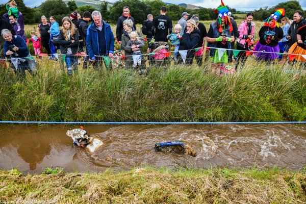 The World Bog Snorkelling Championships in Llanwrtyd Wells - Robs Blog